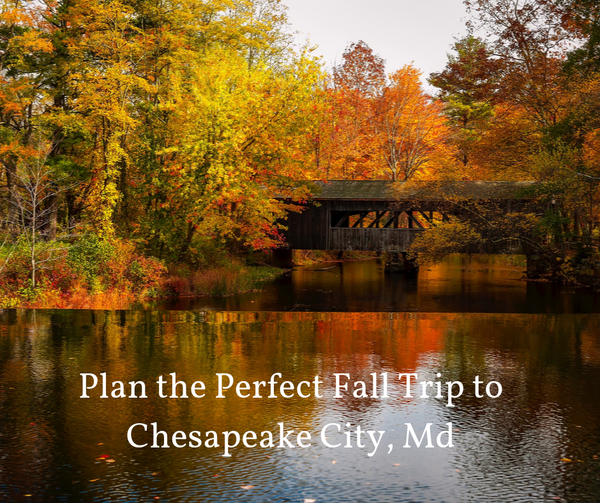Plan the Perfect Fall Trip to Chesapeake City, Md – Chesapeake Bay Goods